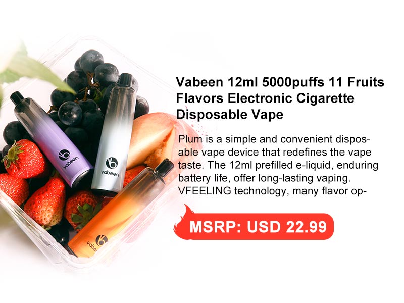 The Best Disposable E-Cigs , Must-Try Vabeen Disposable Vape Pen